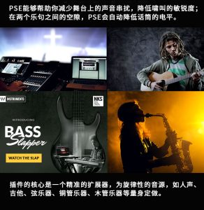 PSE降噪插件门限去杂音效果器Primary Source Expander舞台防止话筒串音